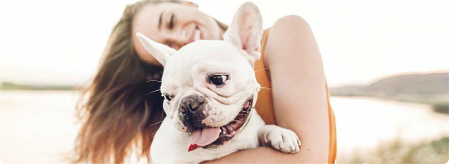 PetLink™ Pet Microchips for Dogs, Cats, & Pets