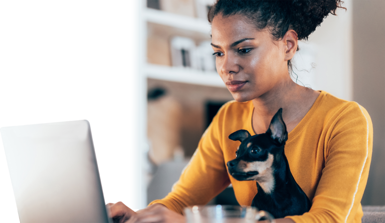 PetLink™ Pet Microchips for Dogs, Cats, & Pets