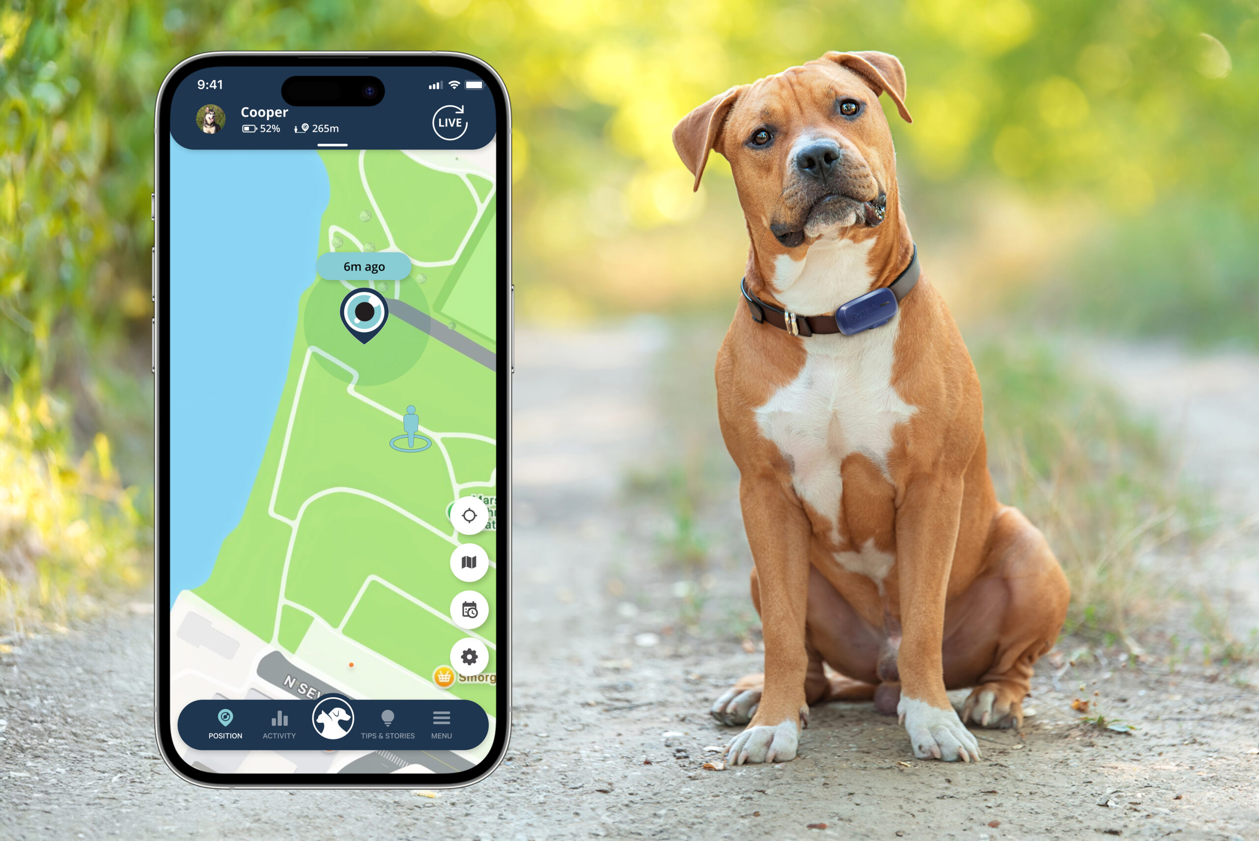 Dog GPS Trackers vs Microchips - What's The Difference - Benefits Of ...