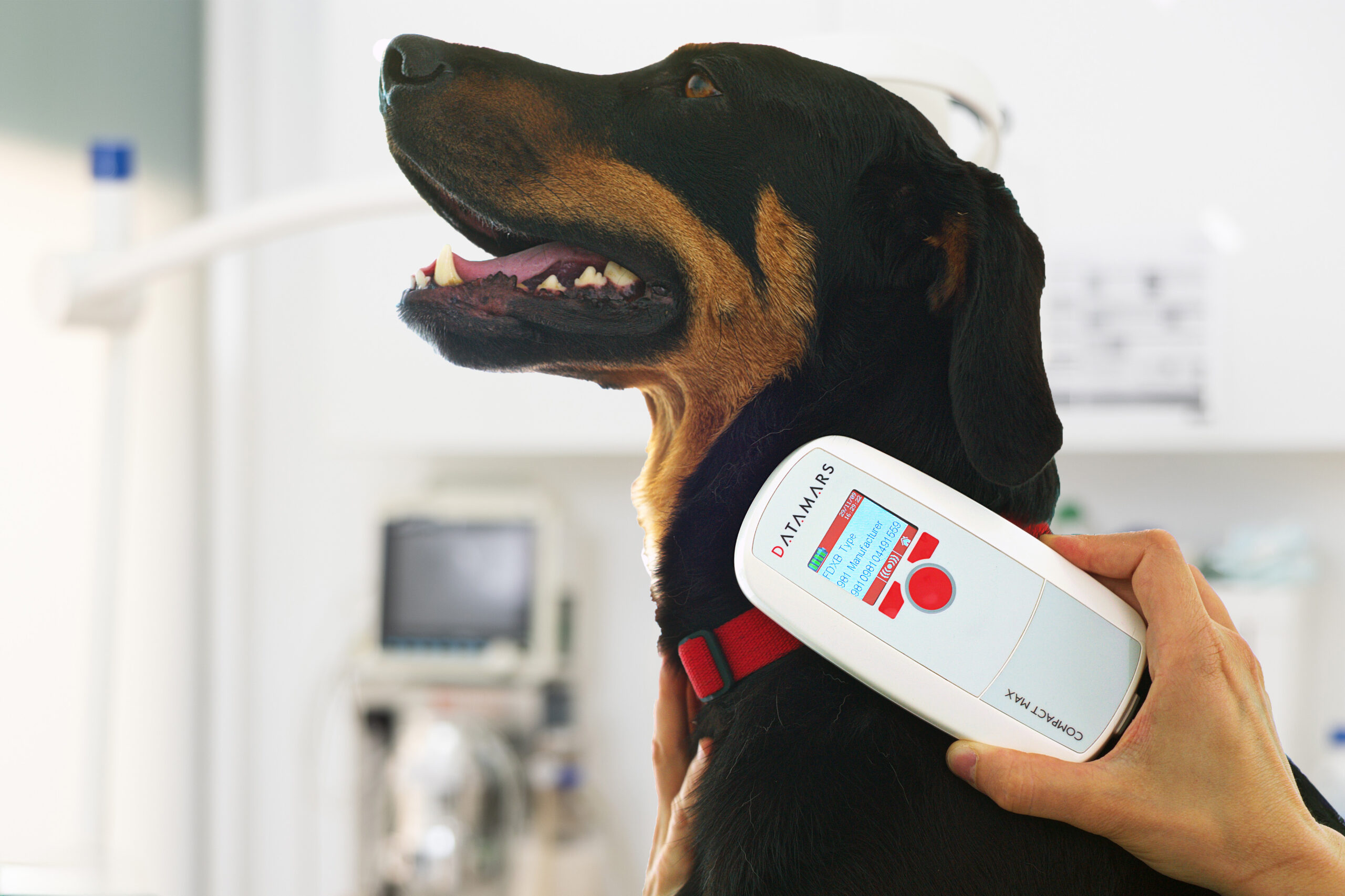 Dog GPS Trackers vs Microchips - What's The Difference - Benefits Of ...