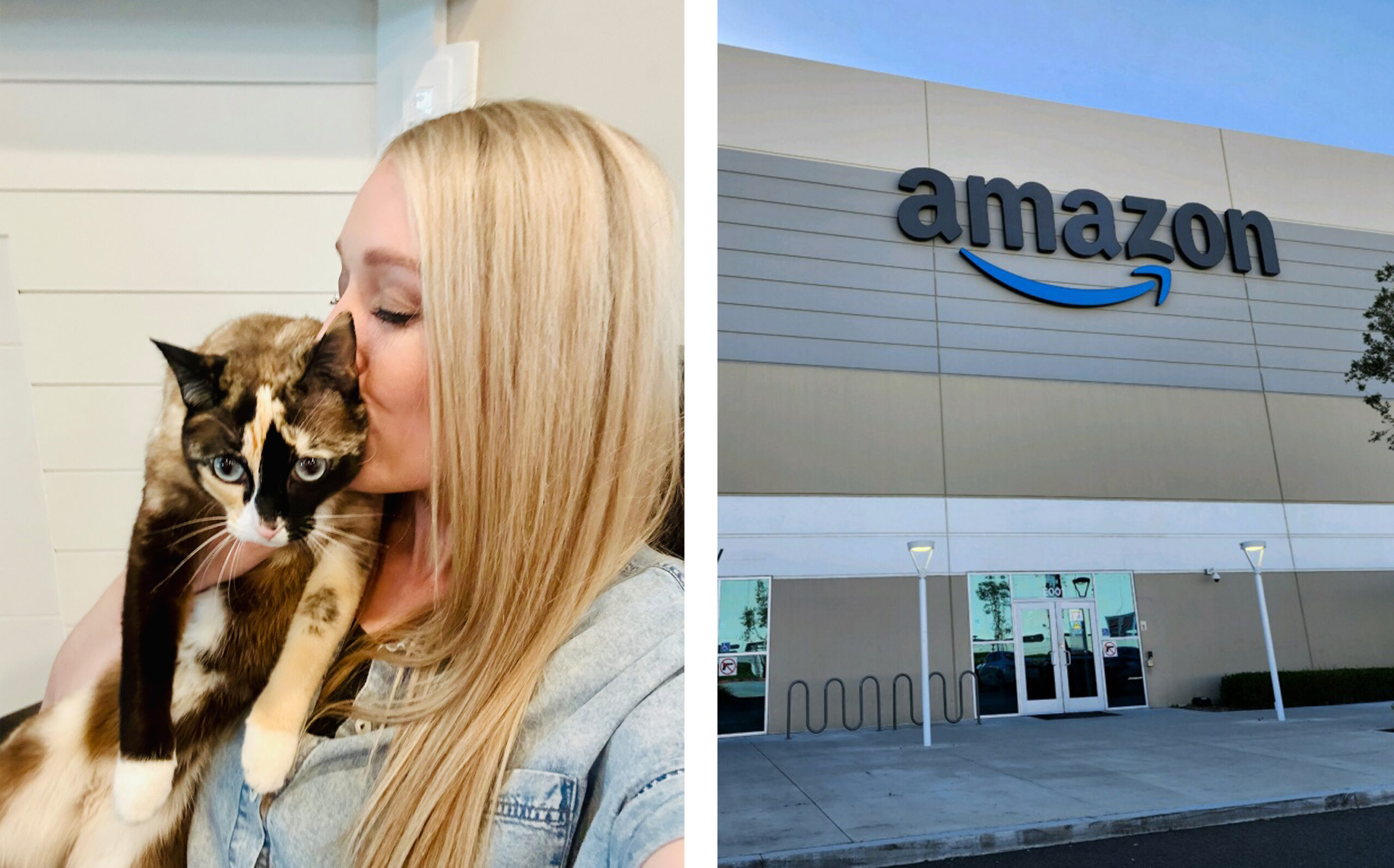 The Cat, The Amazon Box, & The Microchip - Galena's Incredible Reunion ...